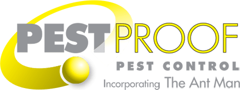 Pestproof™ Pest Control in Wellington, Wairarapa & Manawatu Regions